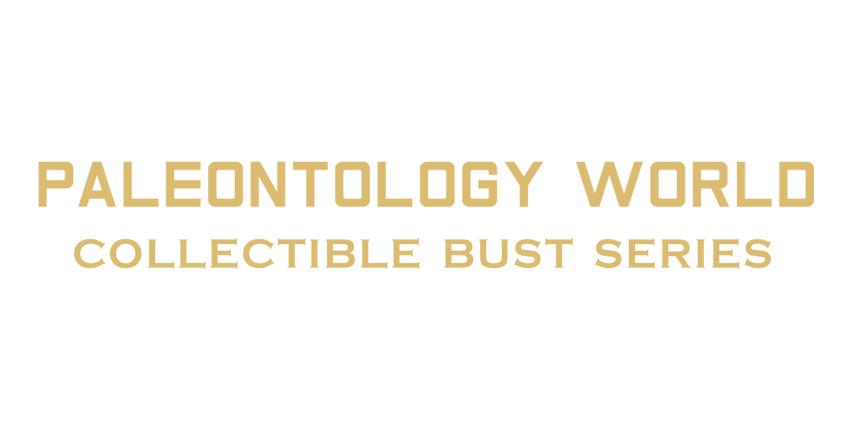 Product - DAMTOYS